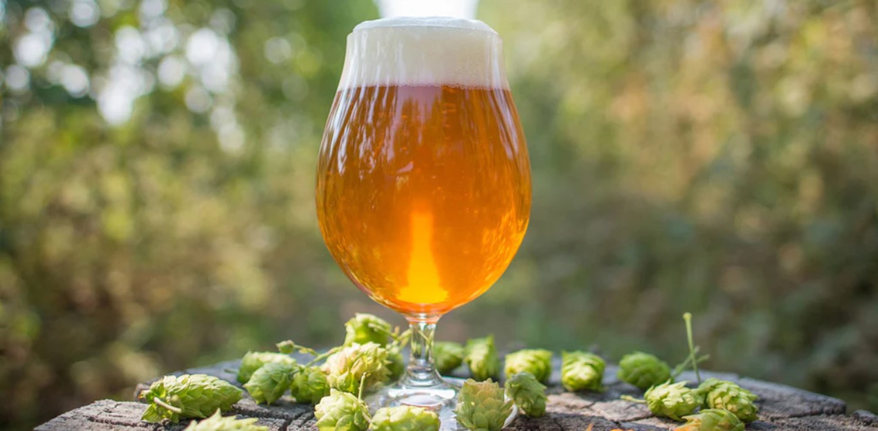 Por Que Cerveja Amarga - Capitao Barley